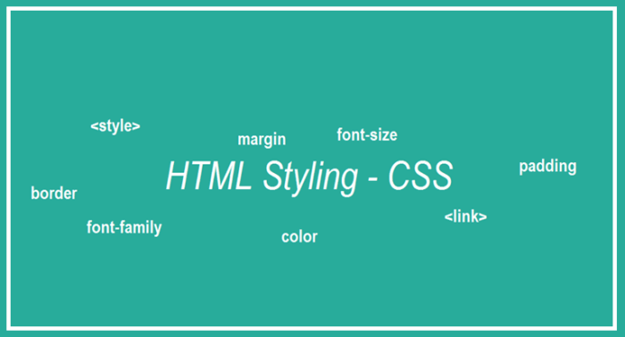 A Comprehensive Tutorial On HTML Styling Using CSS – Tech Dot Blogs